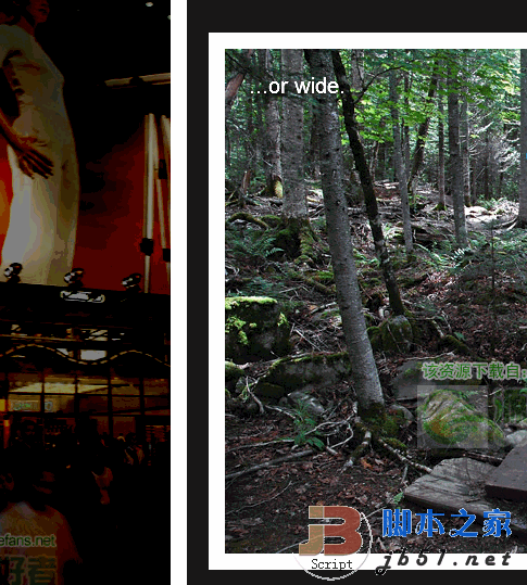 AutoViewer Flash图片滚动幻灯特效 下载-脚本之家