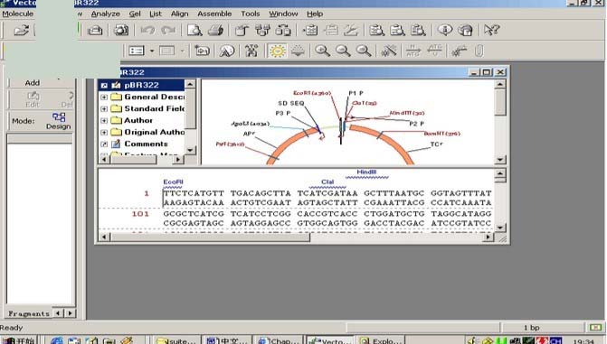 vector nti11.5破解版下载 vector nti advance 11 v11.5.1 英文安装免费版(附破解文件) 下载-脚本之家