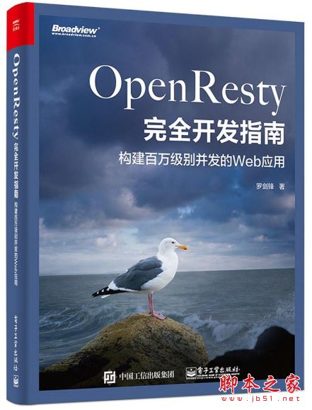 OpenResty完全开发指南:构建百万级别并发的Web应用 中文PDF扫描版[147MB] 电子书 下载-脚本之家