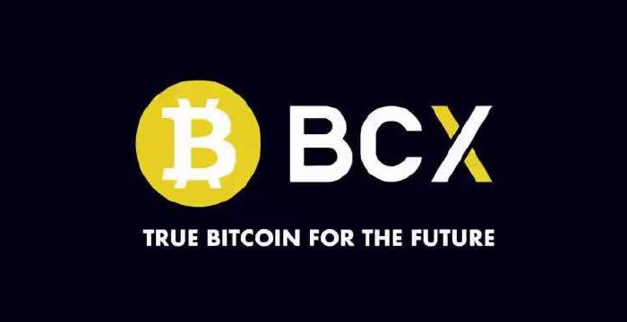 比特无限(BCX)是什么币？BCX币的特点和前景介绍_币种百科_区块链_脚本之家
