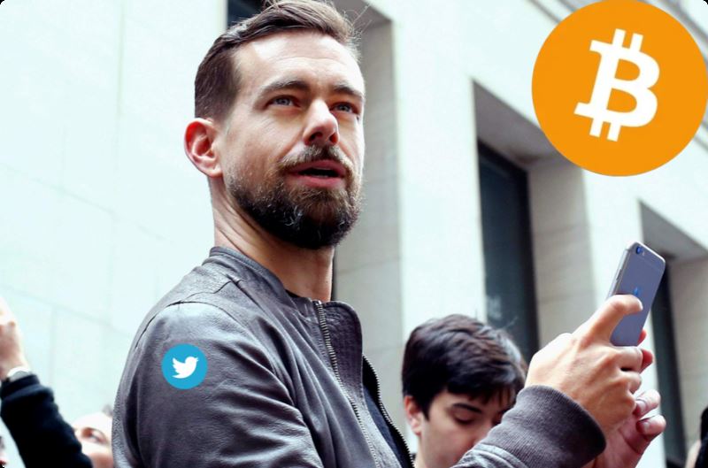 Web5是什么？如何工作？Web5怎么使用？_区块链技术_区块链_脚本之家