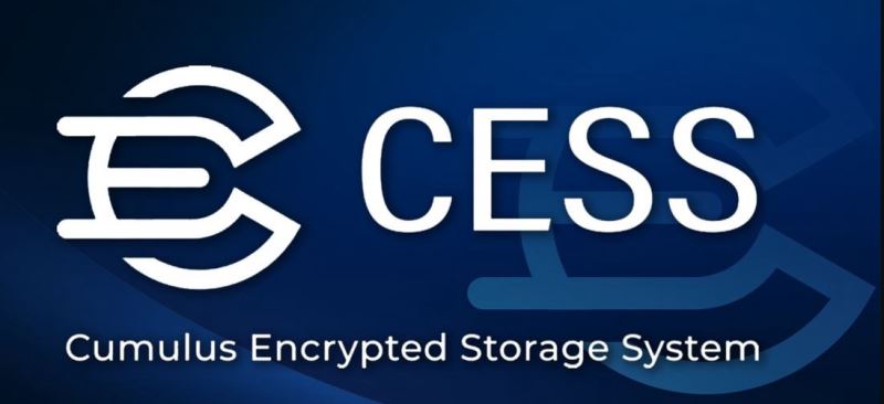 什么是Cess network?CESS币项目发展历史、团队、技术、经济模型解读_币种百科_区块链_脚本之家